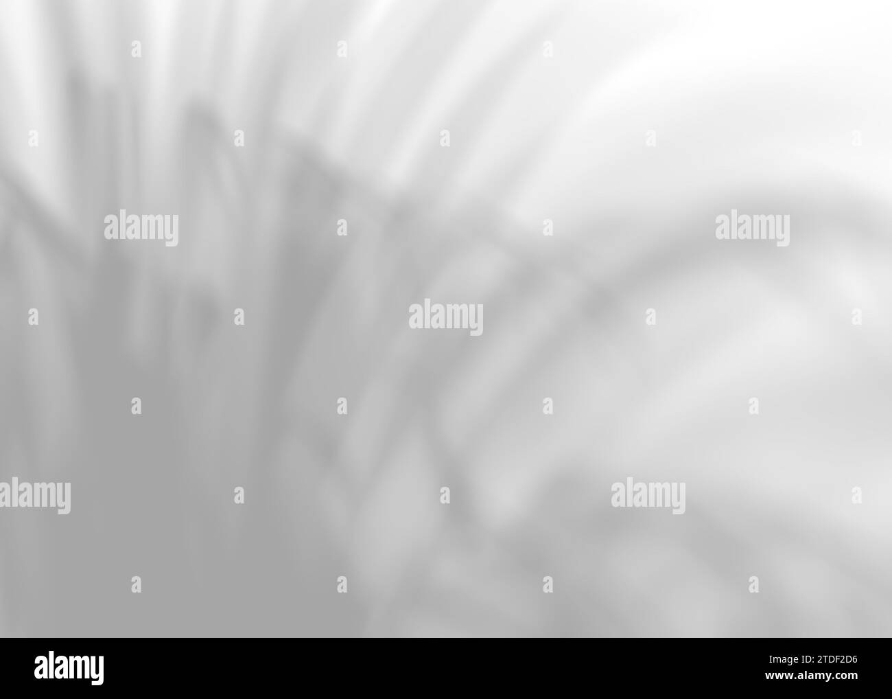 Shadow from plant leaves, overlay effect. Realistic gray shadow on ...