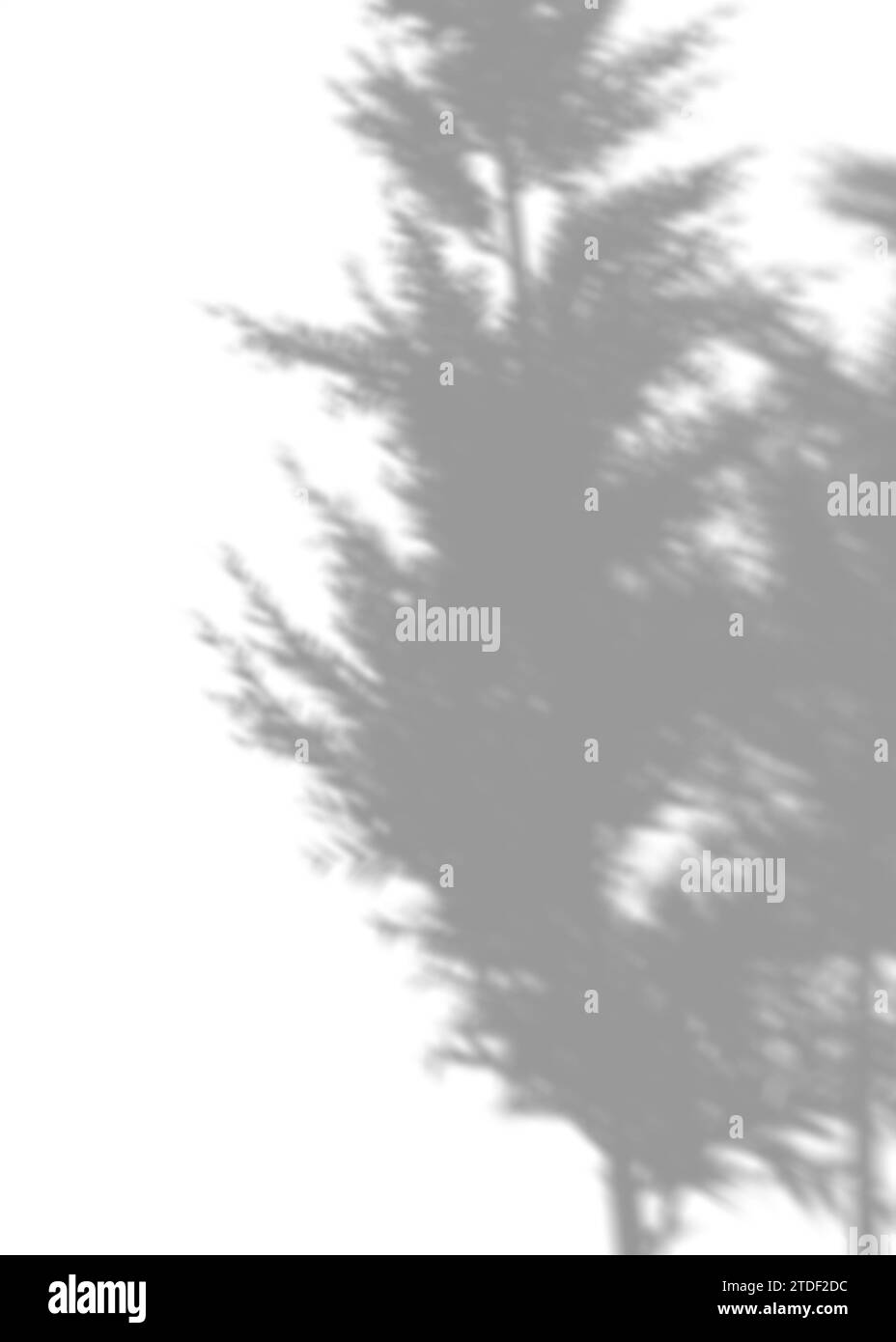 Shade photos Black and White Stock Photos & Images - Alamy