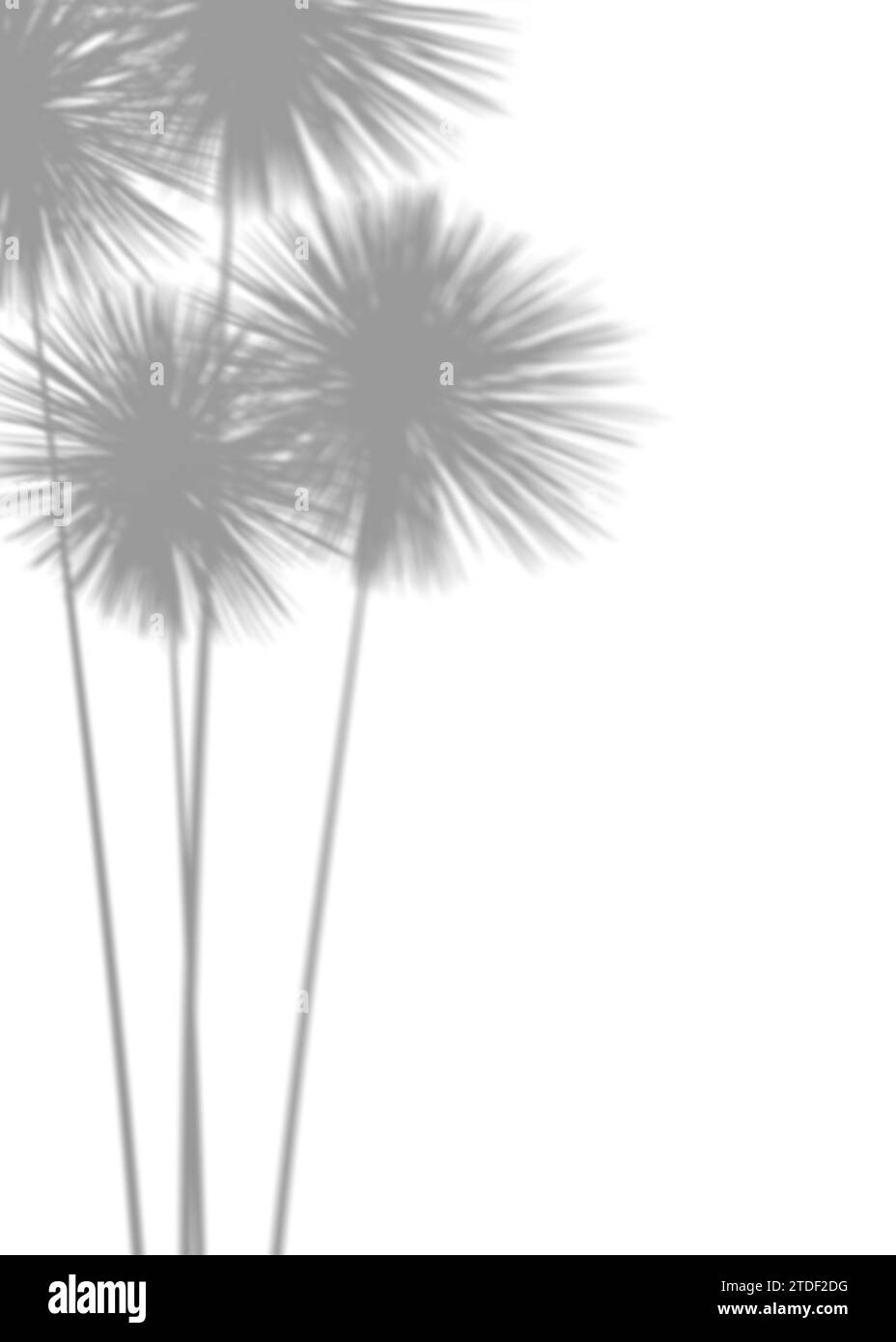 Shade photos Black and White Stock Photos & Images - Alamy