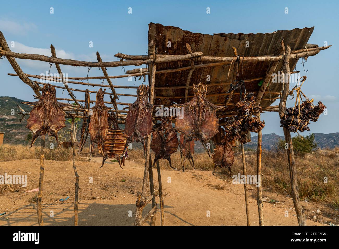 Dried rats for sale, Sumbe, Kwanza Sul, Angola, Africa Stock Photo - Alamy