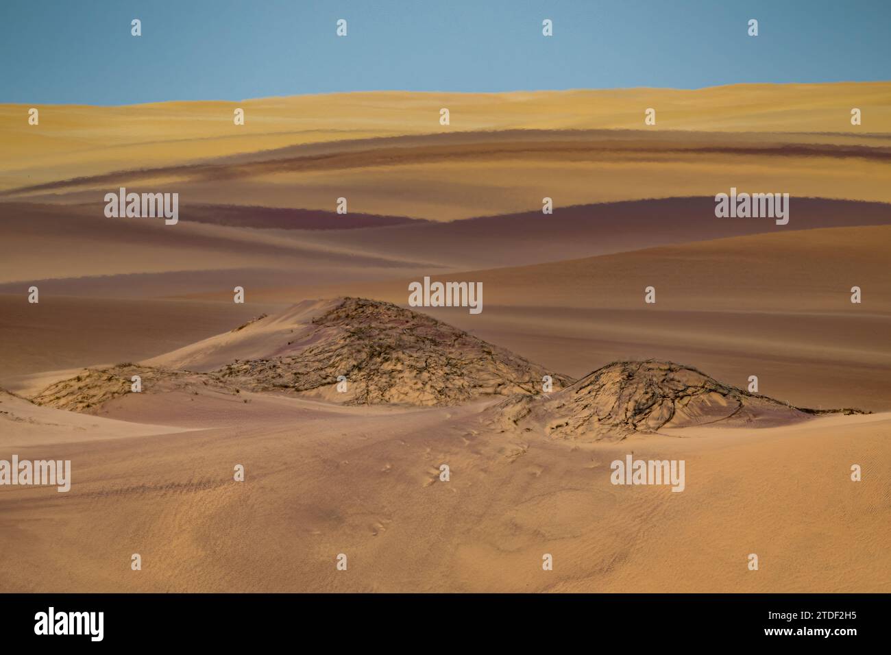 Pink sand dunes, Namibe (Namib) desert, Iona National Park, Namibe, Angola, Africa Stock Photo ...