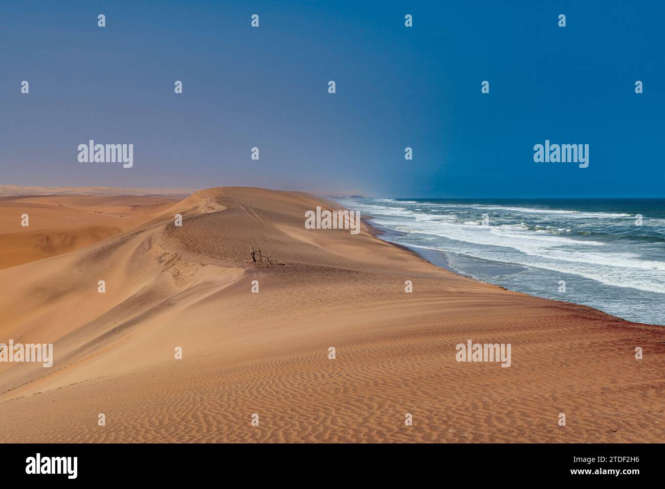 Sand dunes along the Atlantic coast, Namibe (Namib) desert, Iona National Park, Namibe, Angola ...