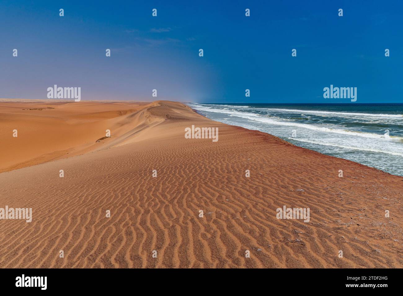 Sand dunes along the Atlantic coast, Namibe (Namib) desert, Iona National Park, Namibe, Angola ...