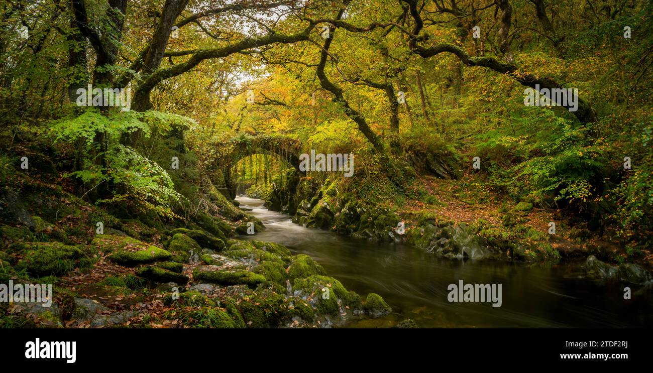 Penmachno Roman Bridge, Snowdonia, Wales, United Kingdom, Europe Stock ...