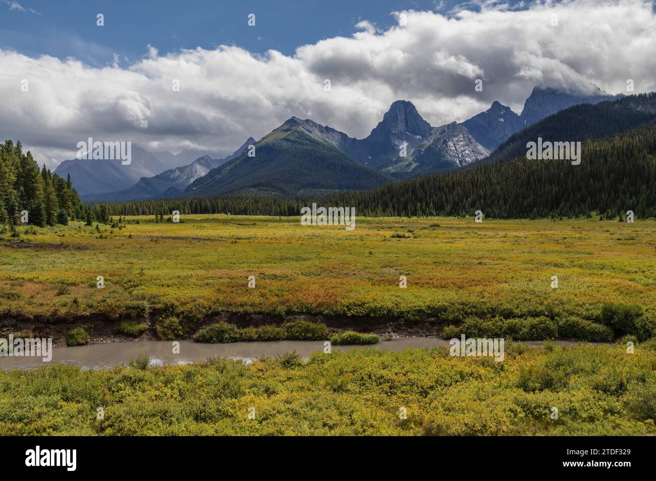 Moose Meadows with Mount Engadine, Spray Valley Provincial Park ...
