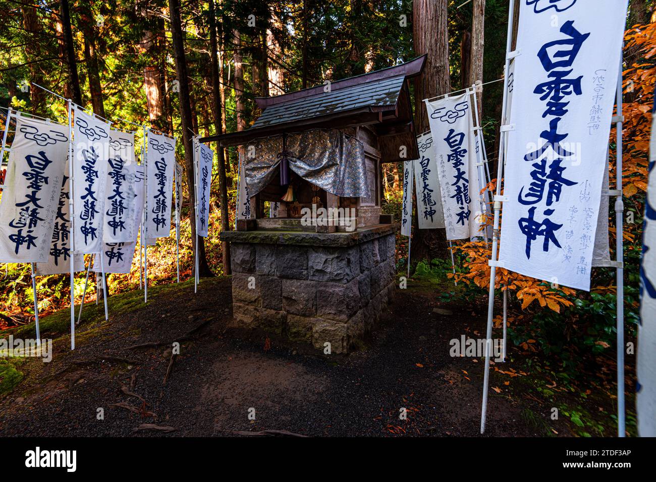 Small Shinto shrine in a forest surrounded by white kanji banners ...