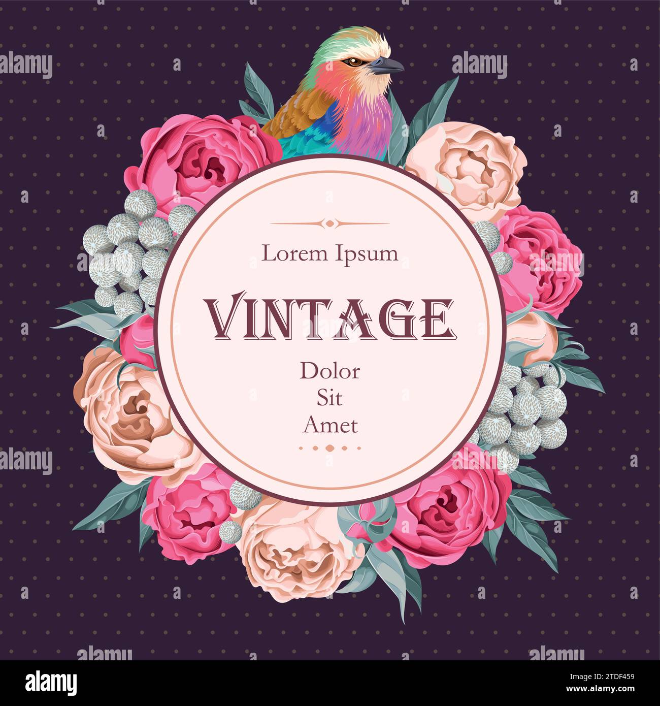 Greeting card with roses Stock Vector Image & Art - Alamy