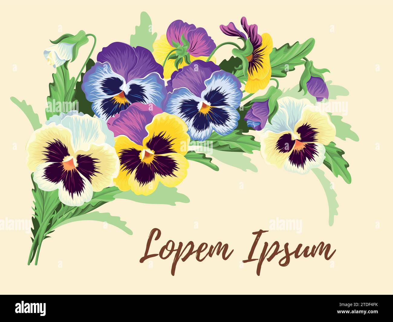 Pansies in spring garden Stock Vector Images - Alamy