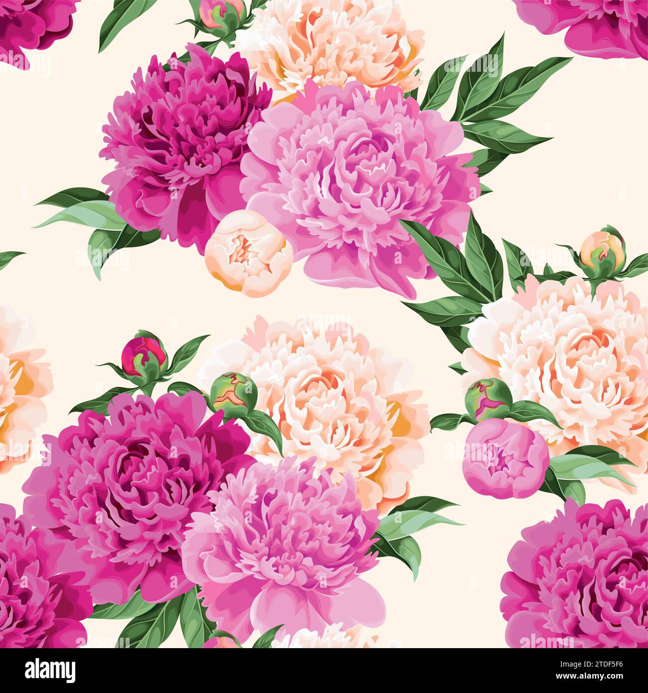 Bunch for peonies Stock Vector Images - Alamy