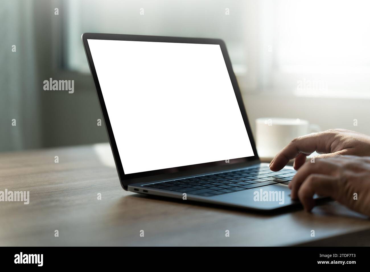 Freelancer typing on laptop Laptop with blank screen on table ...