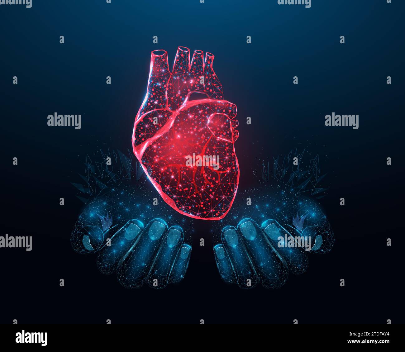Two human hands are holds a red heart. Wireframe glowing low poly heart ...