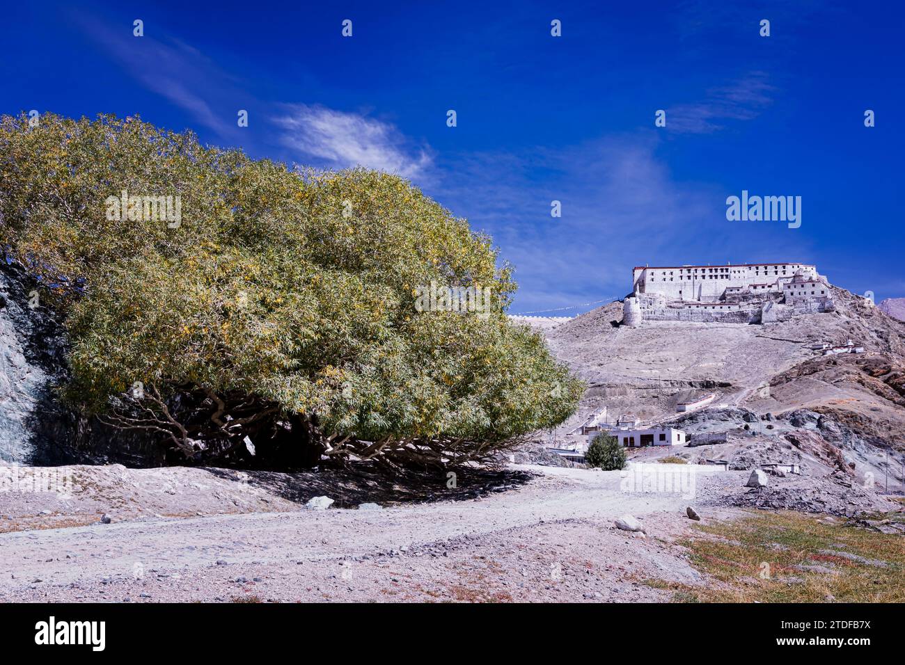 Hanle Monastery (Gompa), Ladakh, India Stock Photo - Alamy
