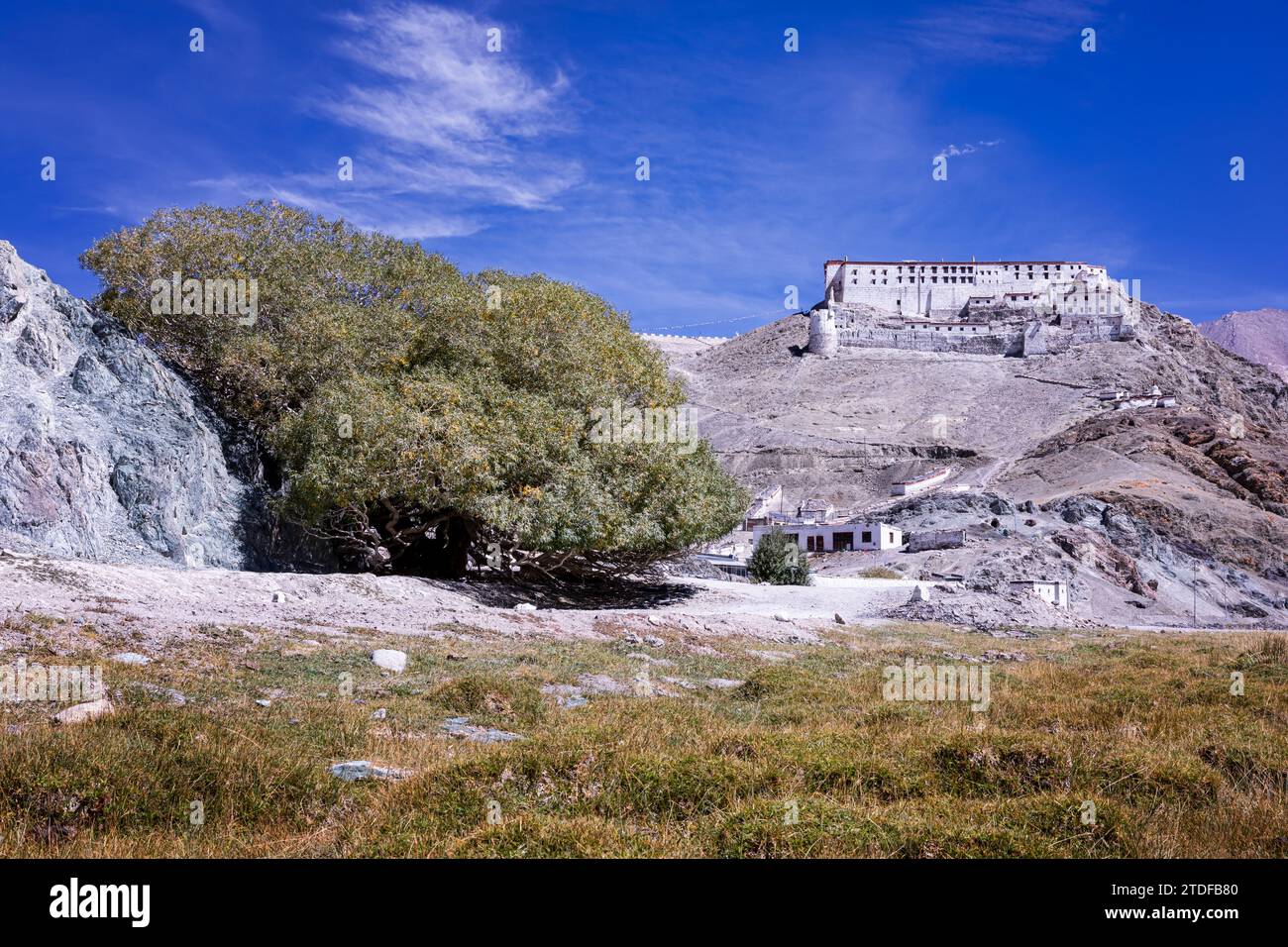 Hanle Monastery (Gompa), Ladakh, India Stock Photo - Alamy