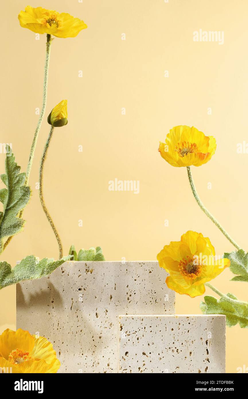 Product showcase backgrounds, product image background, photography ...