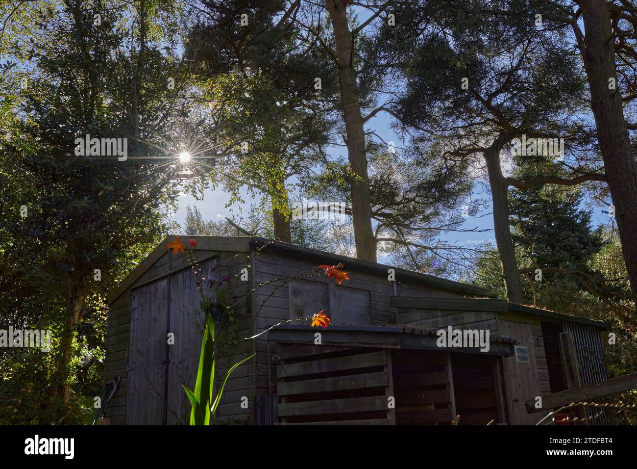 Beautiful log shed hi-res stock photography and images - Alamy