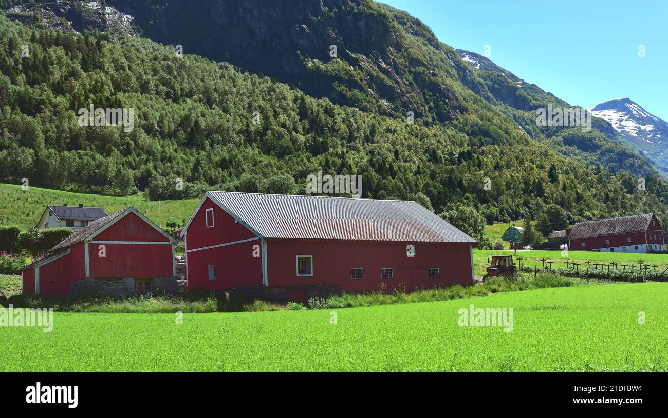 Red farm buildings below the mountain Stock Photo - Alamy