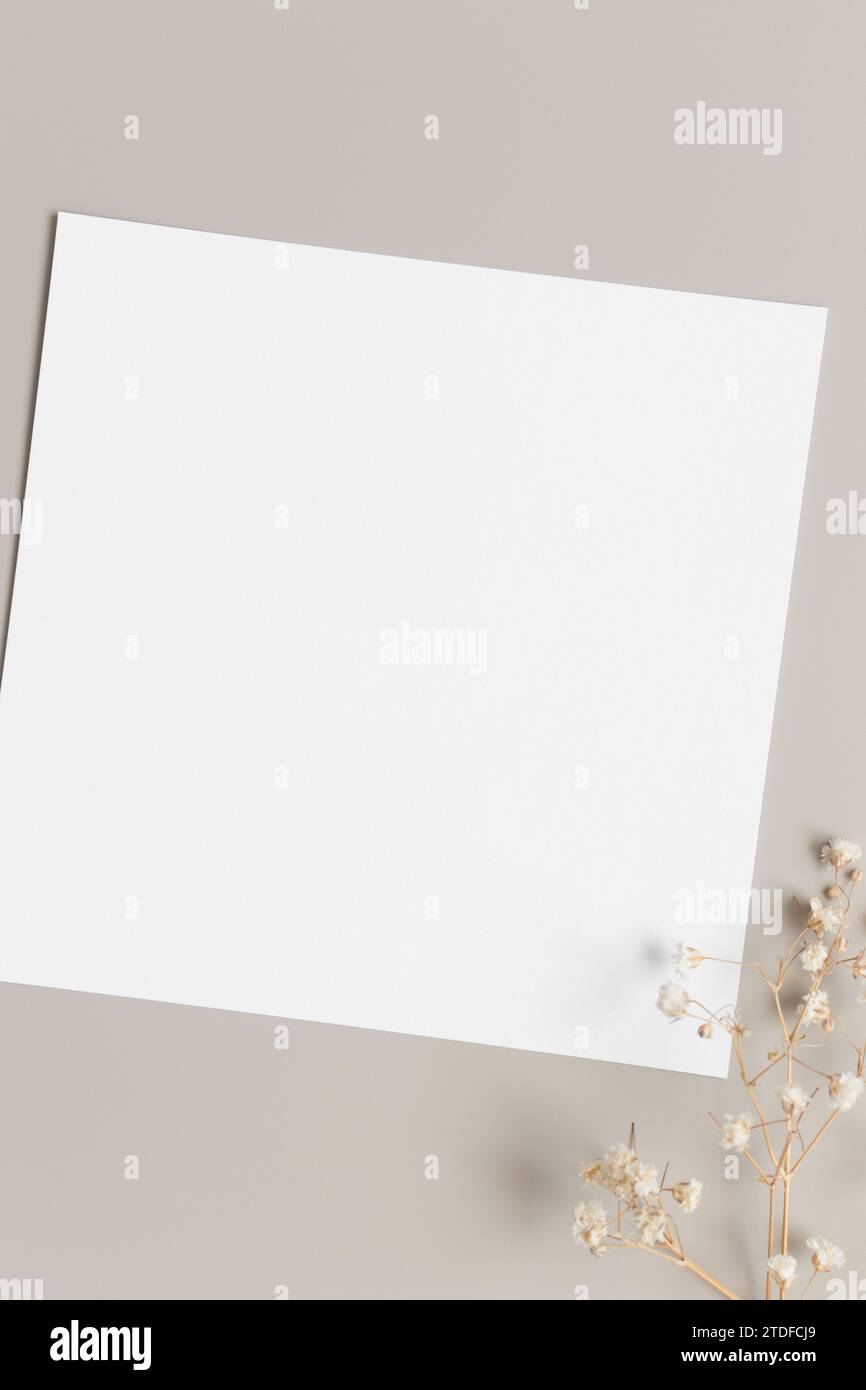 Square invitation card mockup hi-res stock photography and images - Alamy