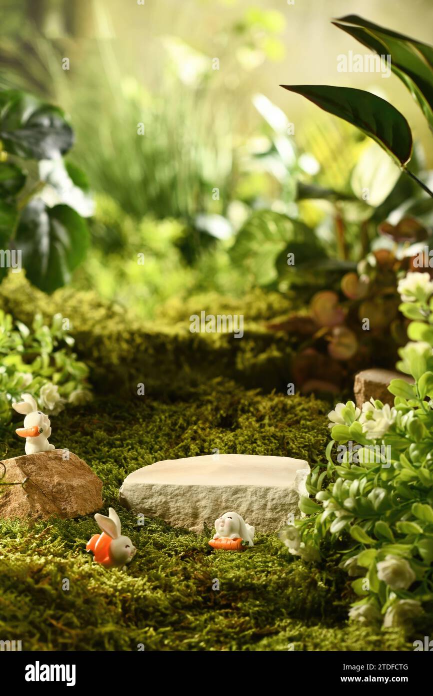 Product showcase backgrounds, product image background, photography ...