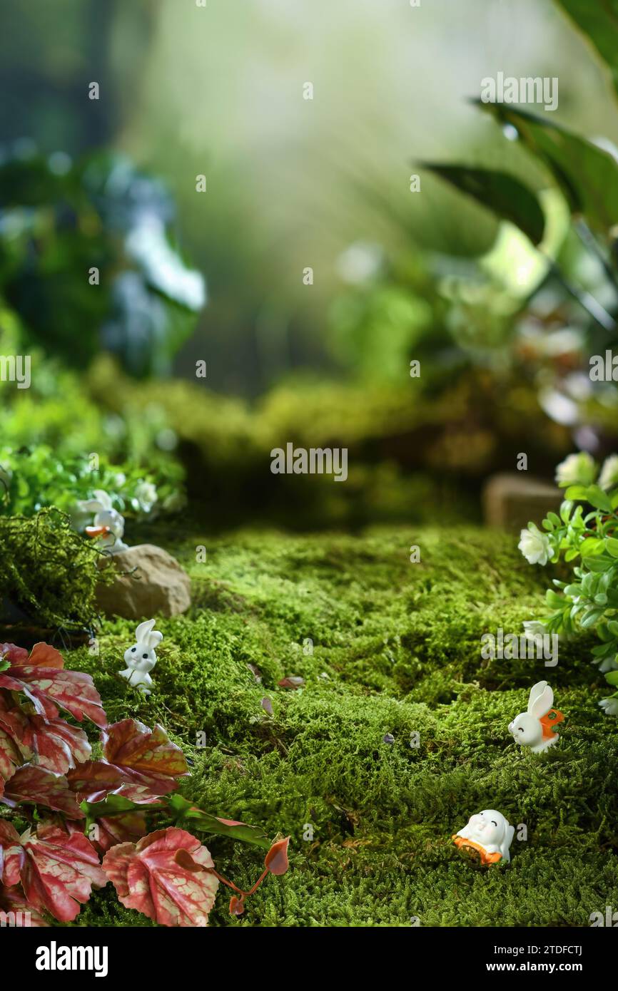 Product showcase backgrounds, product image background, photography ...