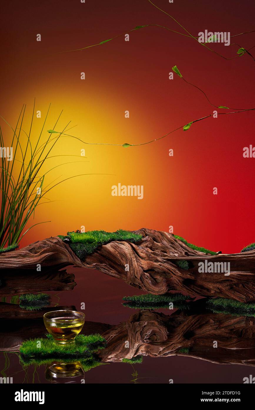 Product showcase backgrounds, product image background, photography ...