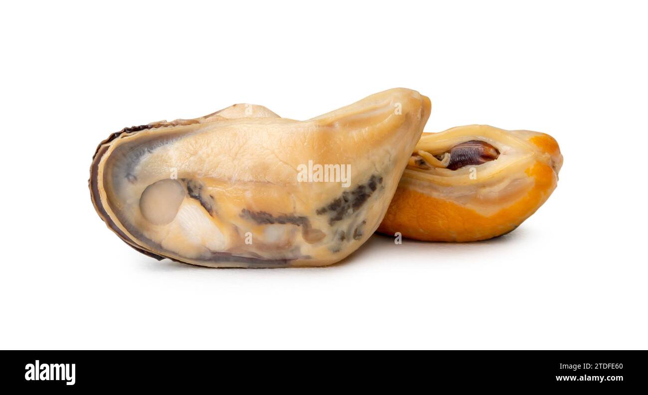 Steamed or cooked food of fresh beautiful green mussels in stack ...