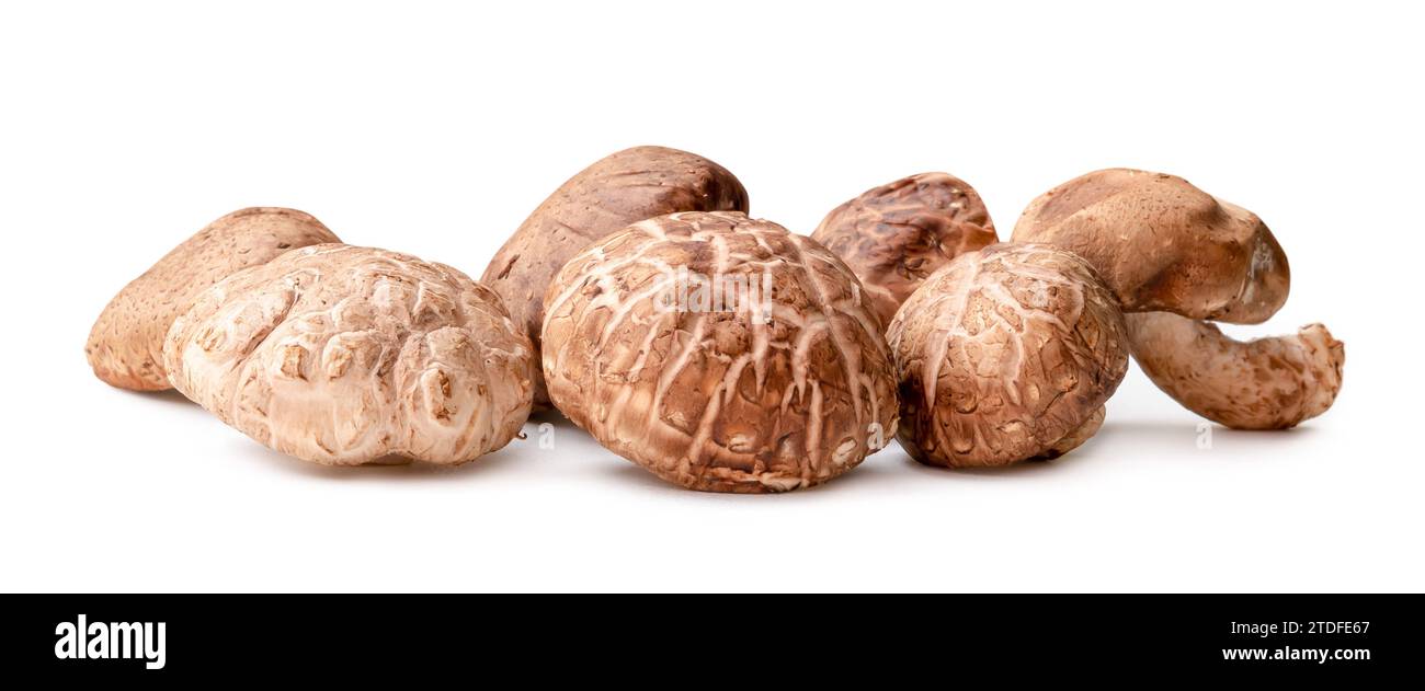Fresh and dry shiitake mushrooms in stack are isolated on white ...