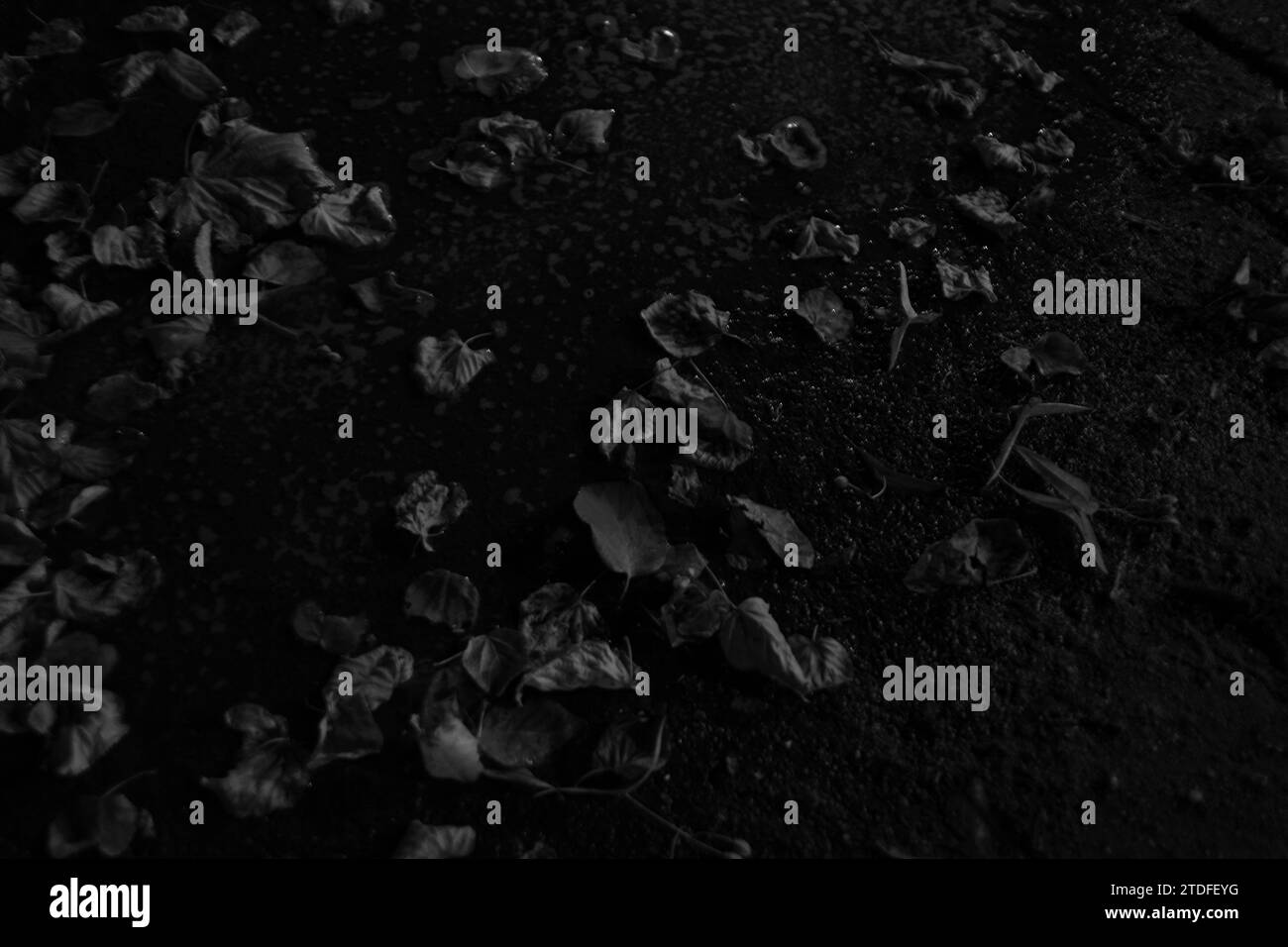 Ground depression hi-res stock photography and images - Alamy