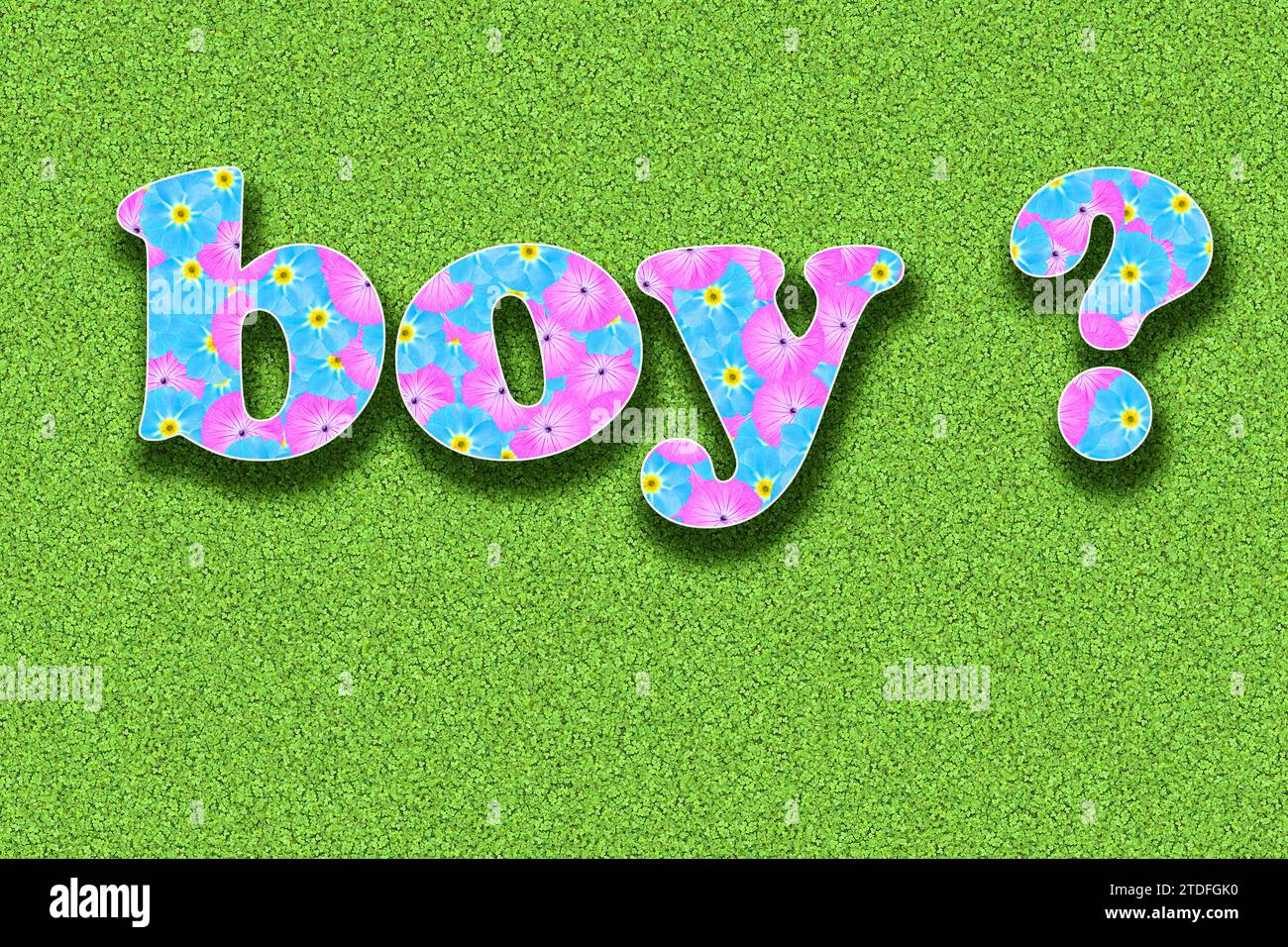 The word Boy, written with flowers in baby colors pink and light blue ...