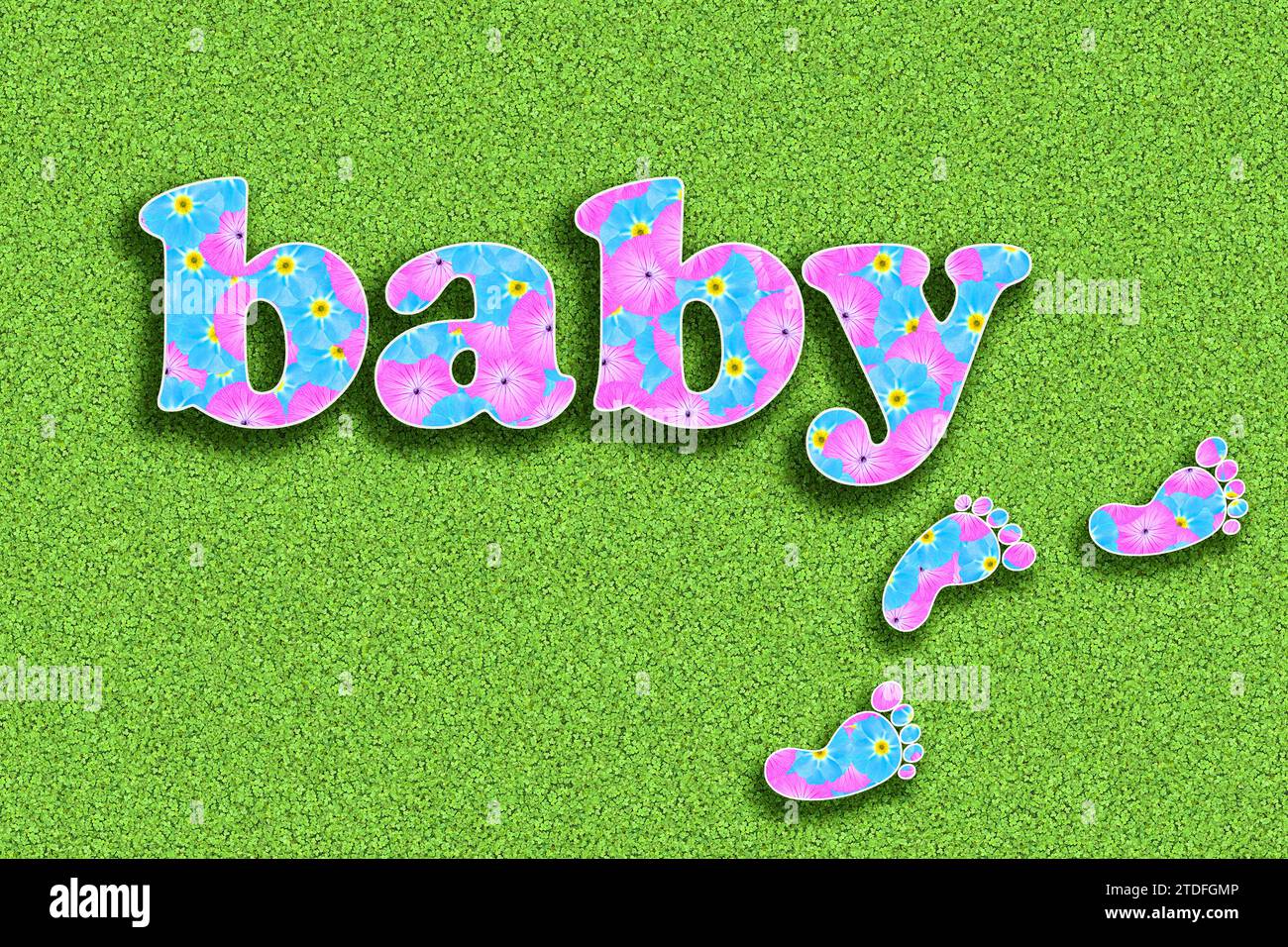 The word baby written with flowers in baby colors pink and light blue ...