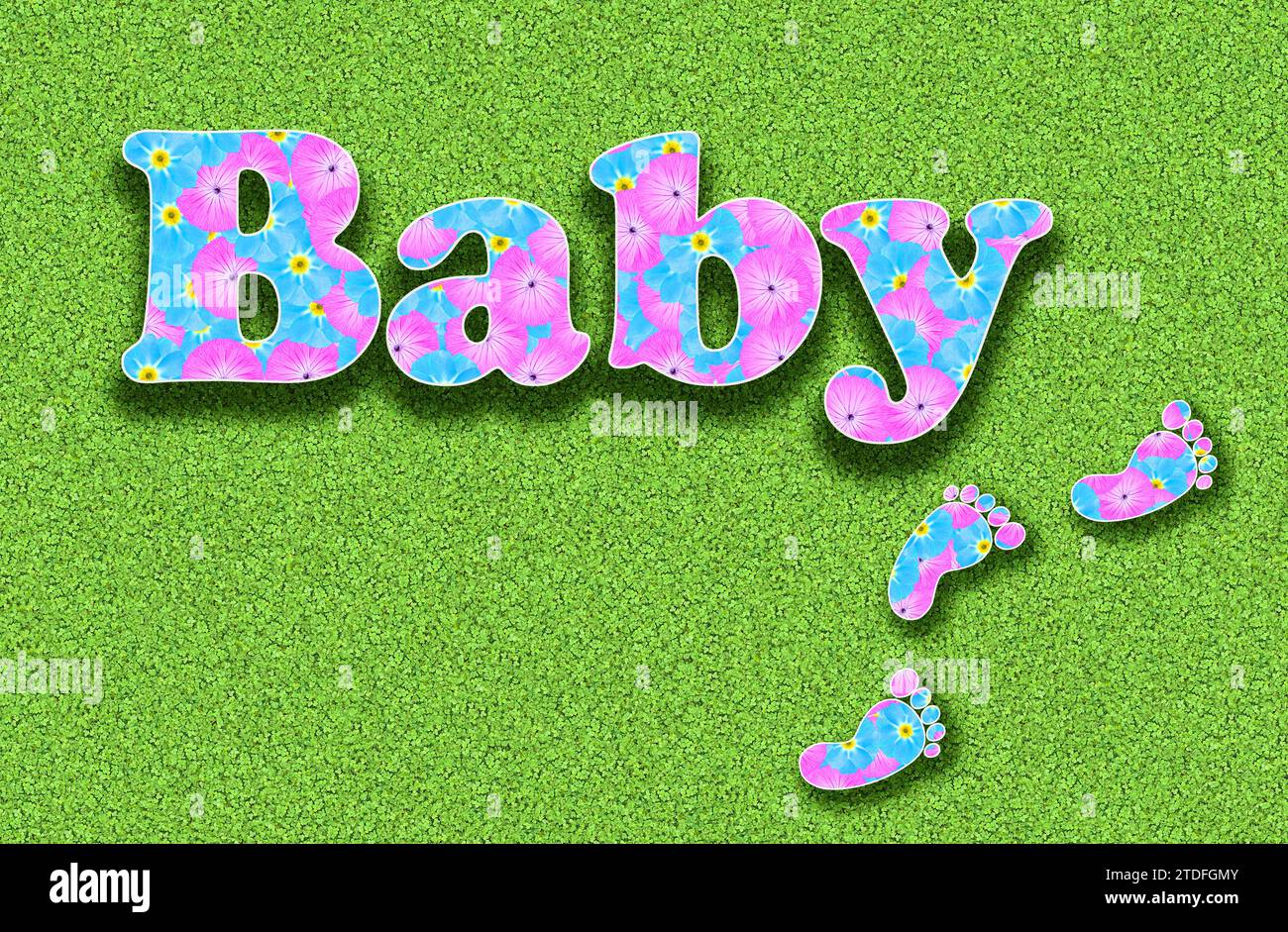 The word baby written with flowers in baby colors pink and light blue ...