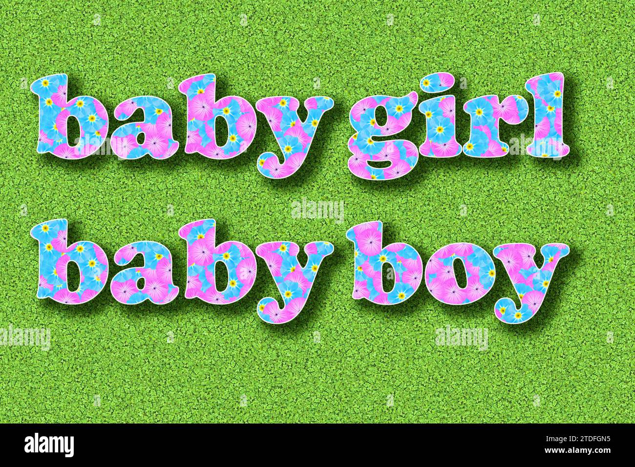 The word Baby Girl and Baby Boy written with flowers in baby colors ...