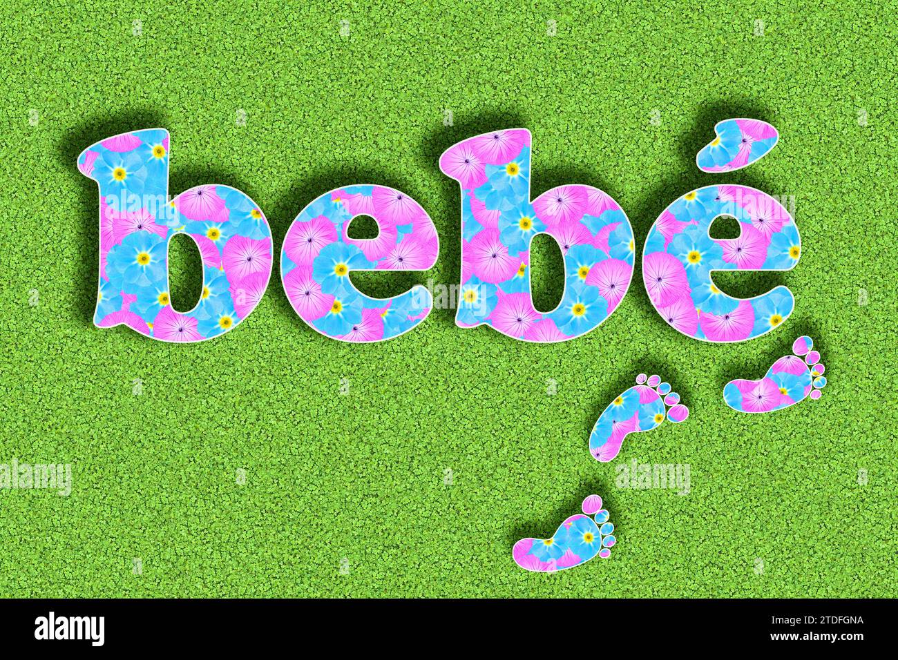 The Spanish and Portuguese word Bebé for baby, written with flowers and ...