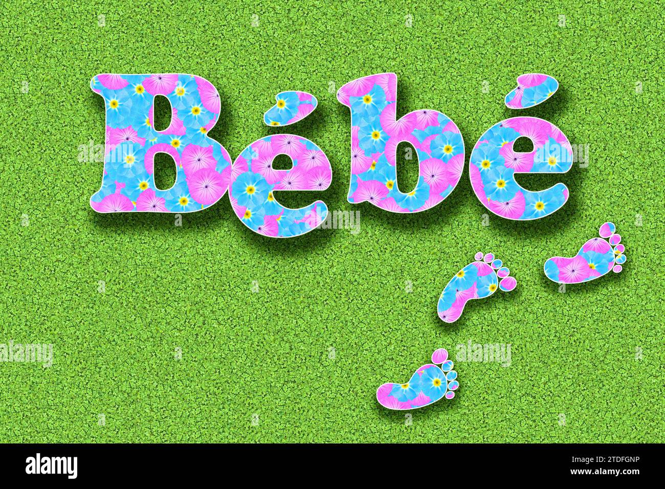 The French word Bébé for baby, written with flowers and small ...