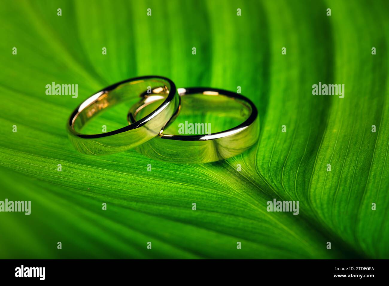 Jewelry green leaves hi-res stock photography and images - Alamy