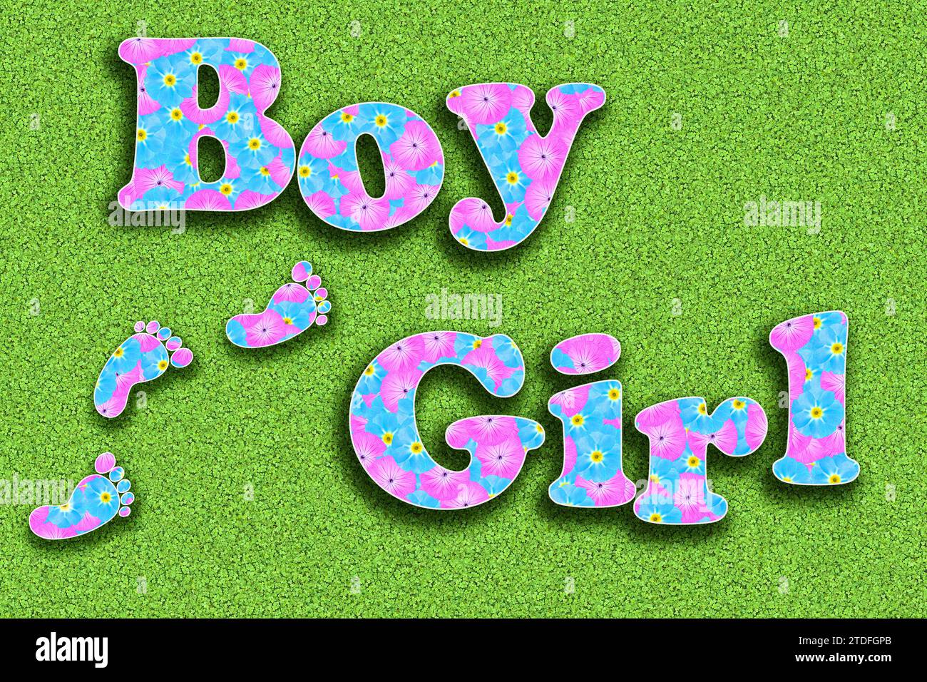 The English word boy and girl, written with flowers in baby colors pink ...