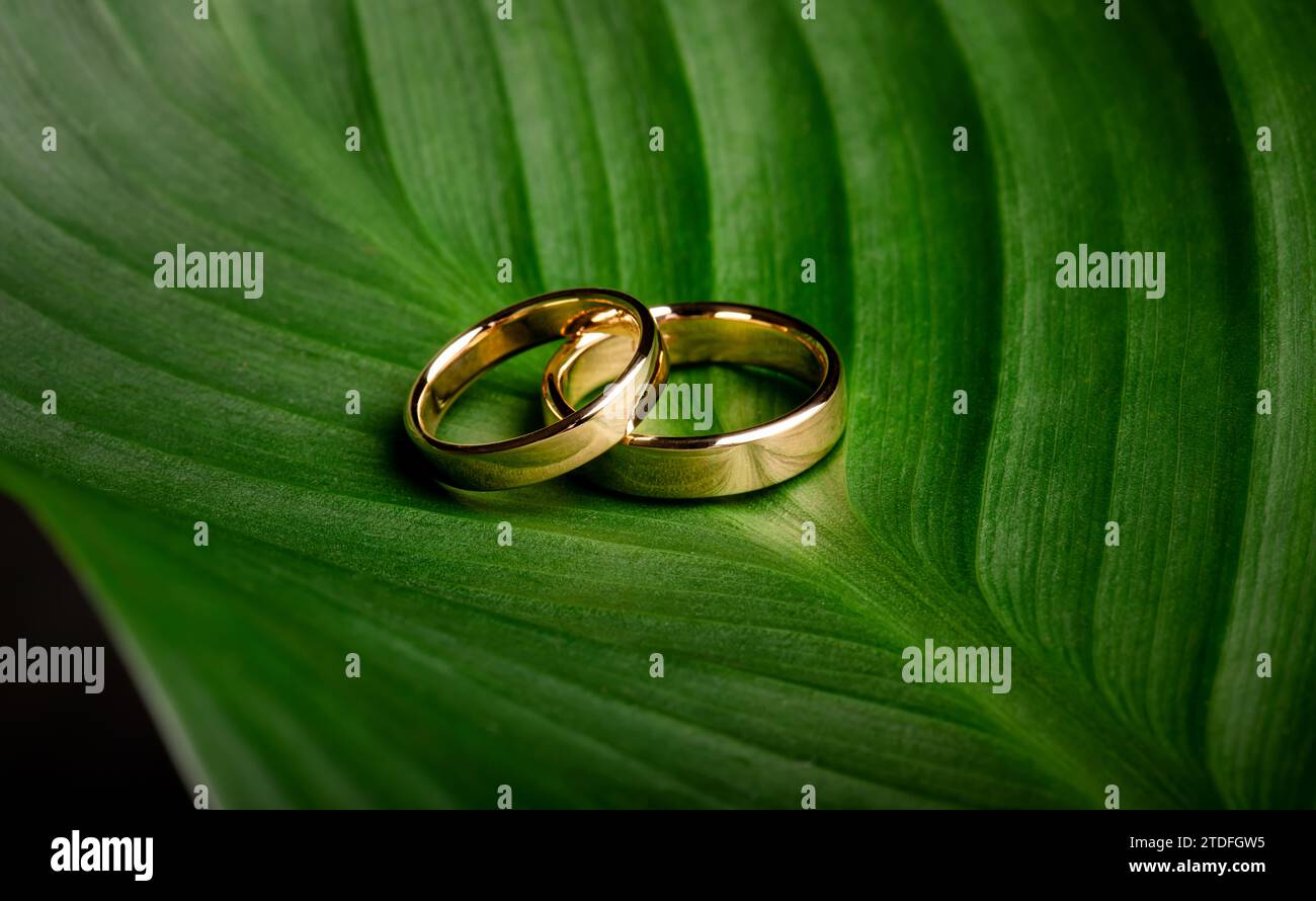 Wedding rings green leaves hi-res stock photography and images - Alamy