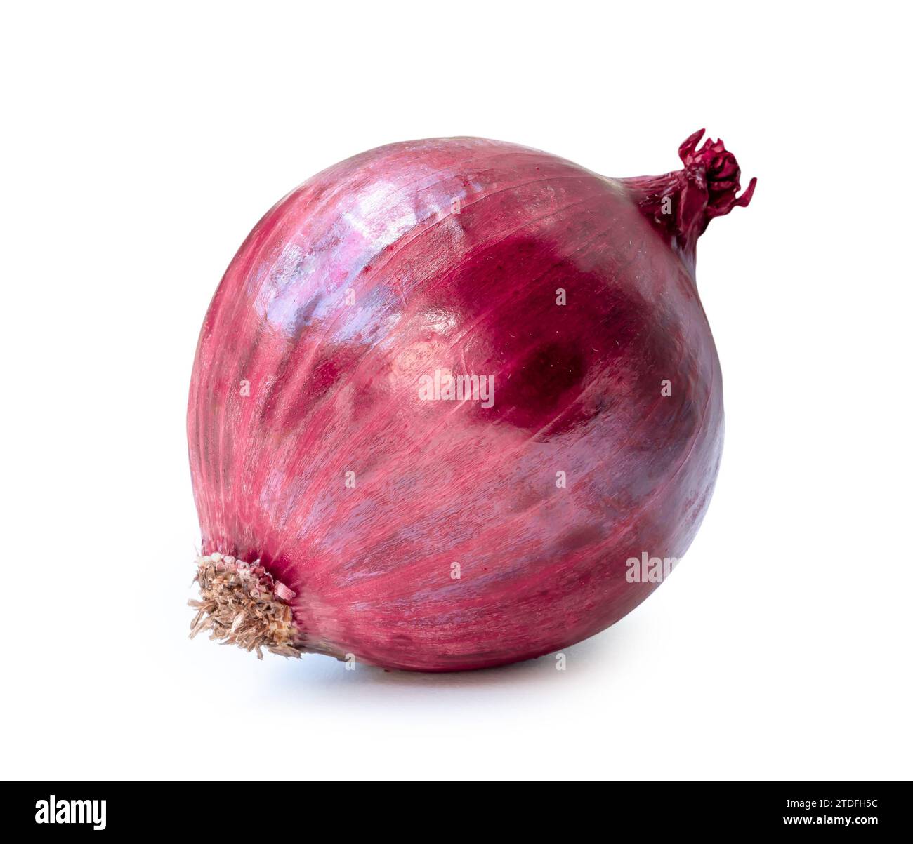 Fresh red onion bulb is isolated on white background with clipping path ...