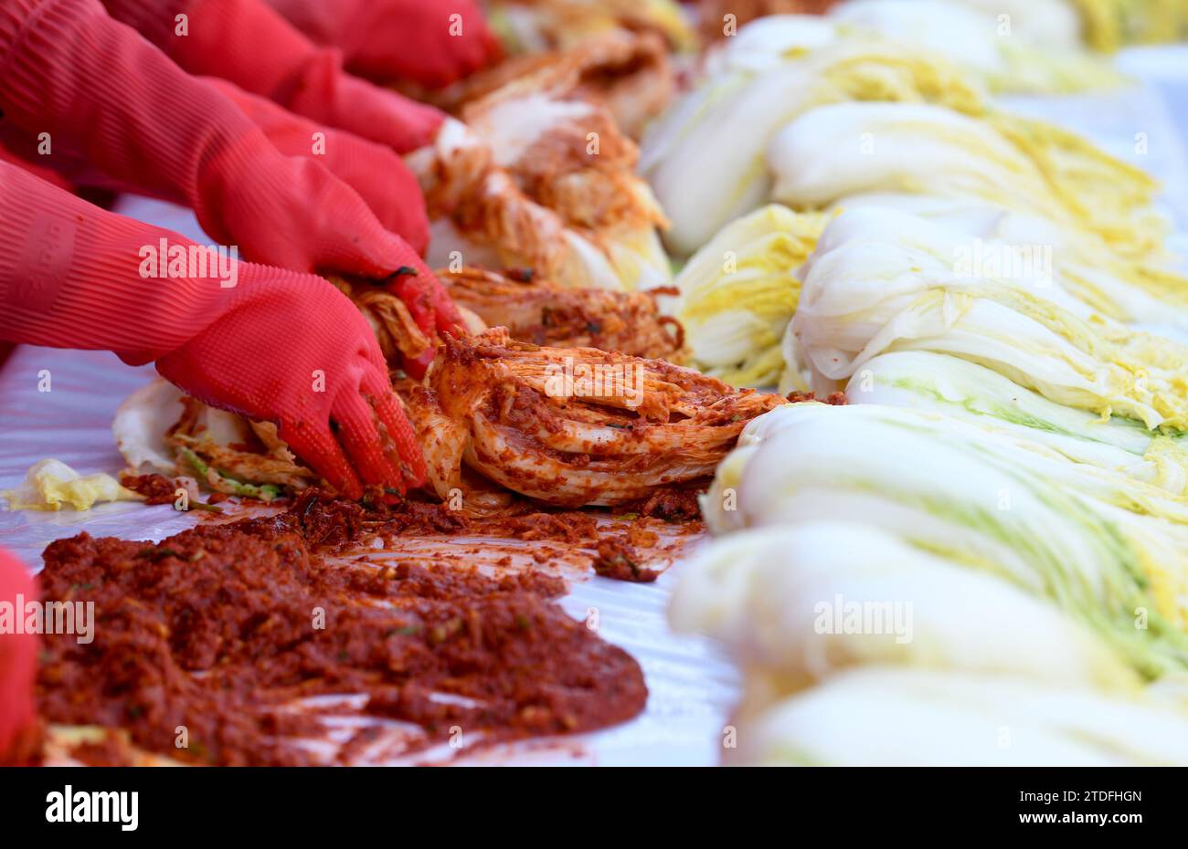 At the end of November 2021, they are making kimchi in Gyeongbuk, South ...