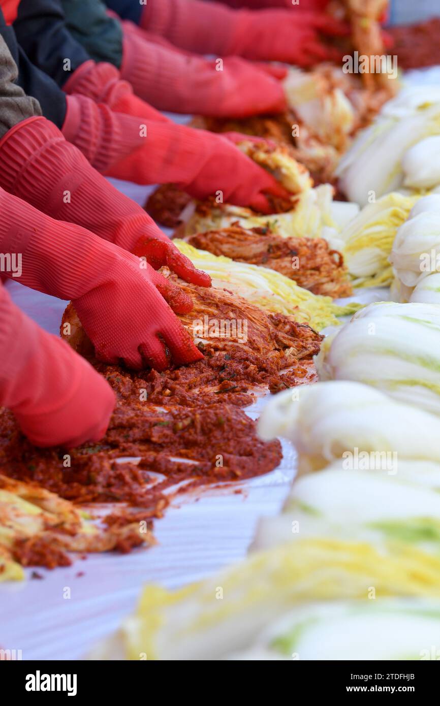 At the end of November 2021, they are making kimchi in Gyeongbuk, South ...