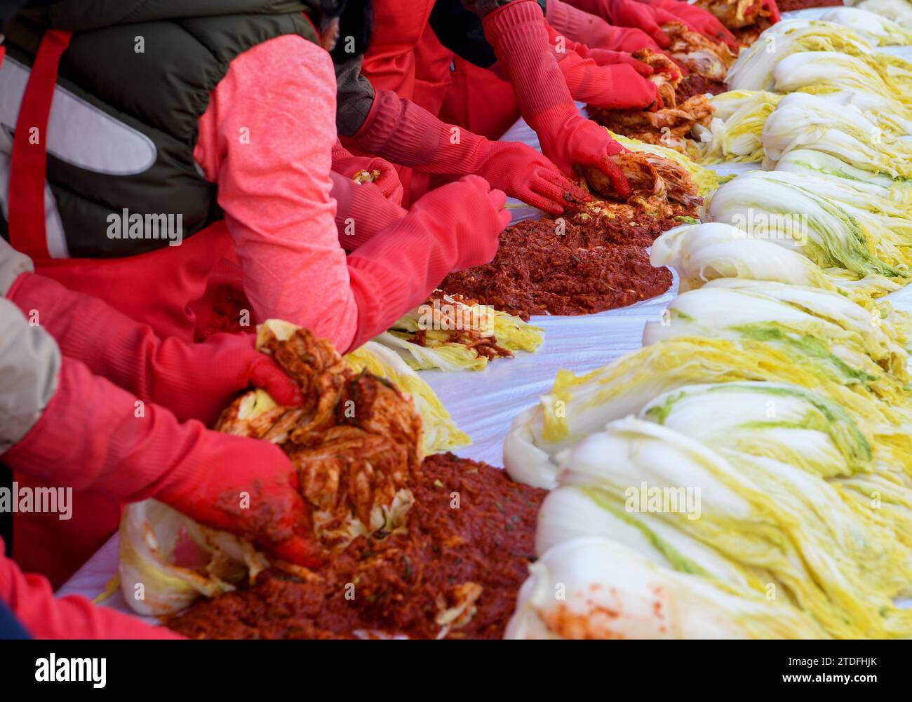 At the end of November 2021, they are making kimchi in Gyeongbuk, South ...