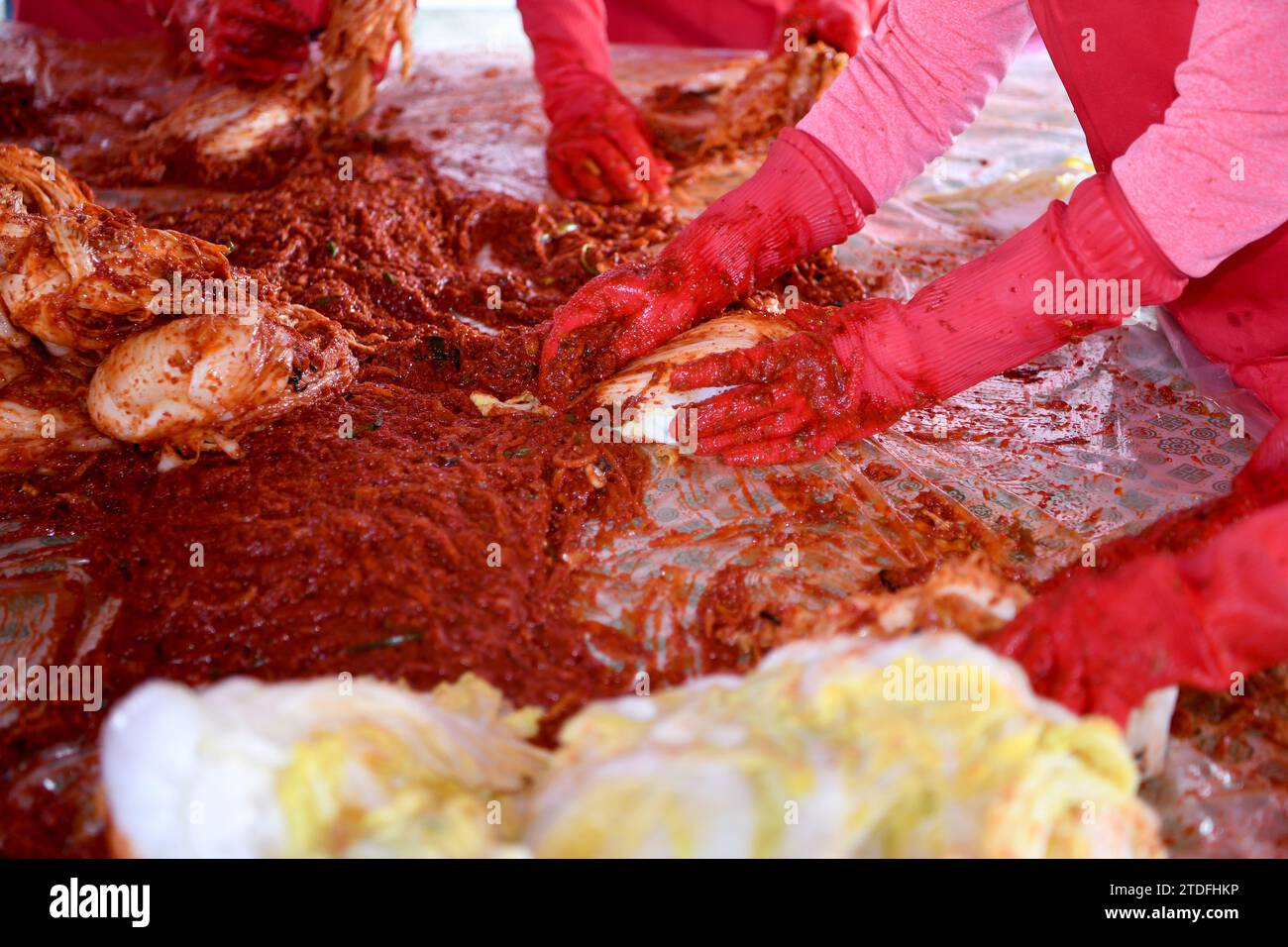 At the end of November 2021, they are making kimchi in Gyeongbuk, South ...