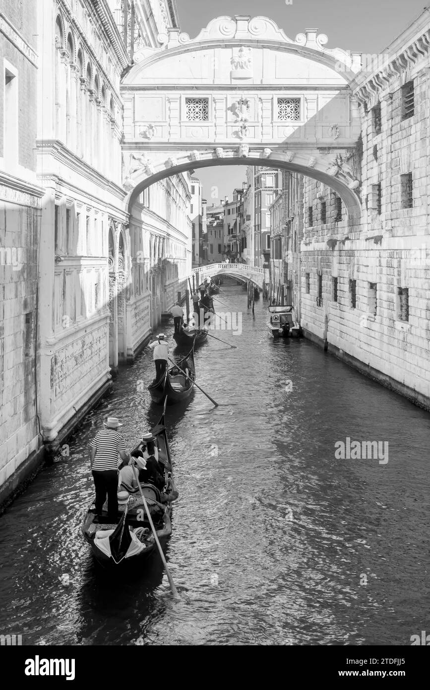Black and white view of a row of gondolas under the famous Ponte dei ...