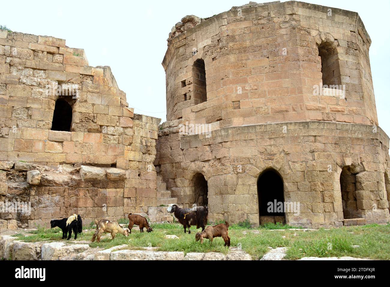 A fortress probably already stood here in the Hittite era, but the ...