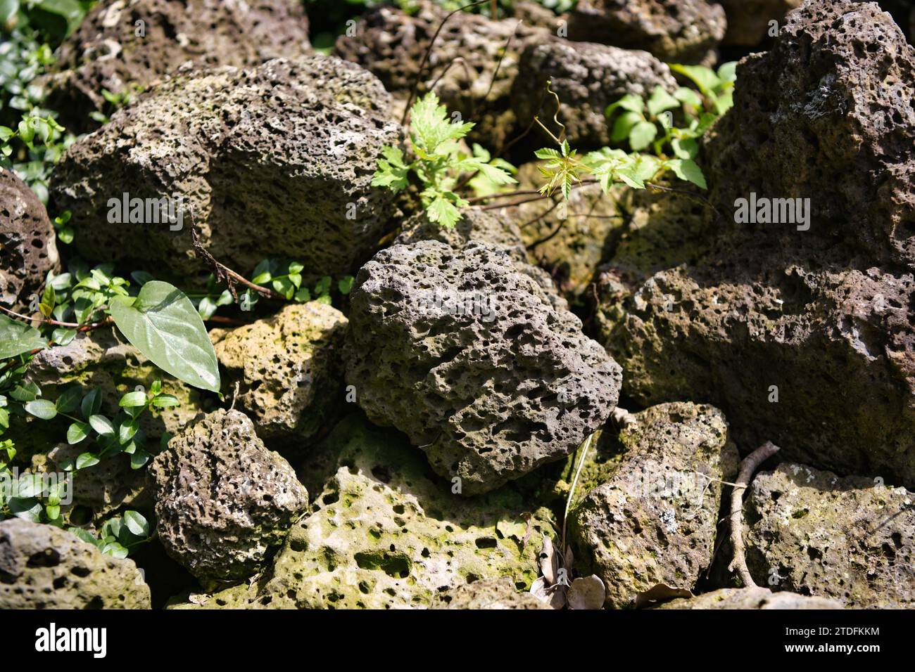 Basalt texture hi-res stock photography and images - Alamy