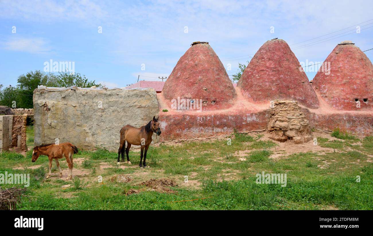The foundation of the city of Harran probably dates back to the 18th ...