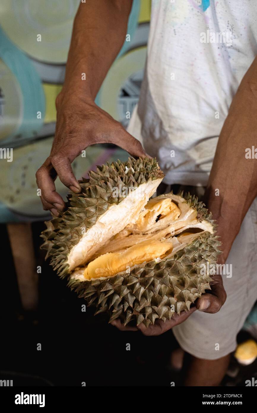 Fresh Davao Durian Stock Photo - Alamy