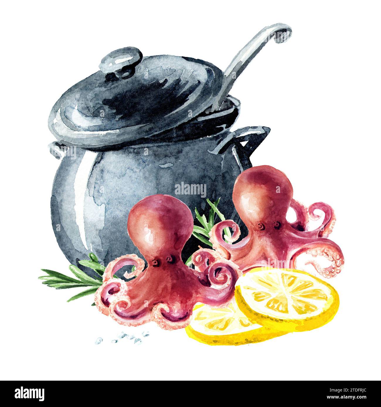 Boiled octopus and a pot. Watercolor hand drawn illustration, isolated ...