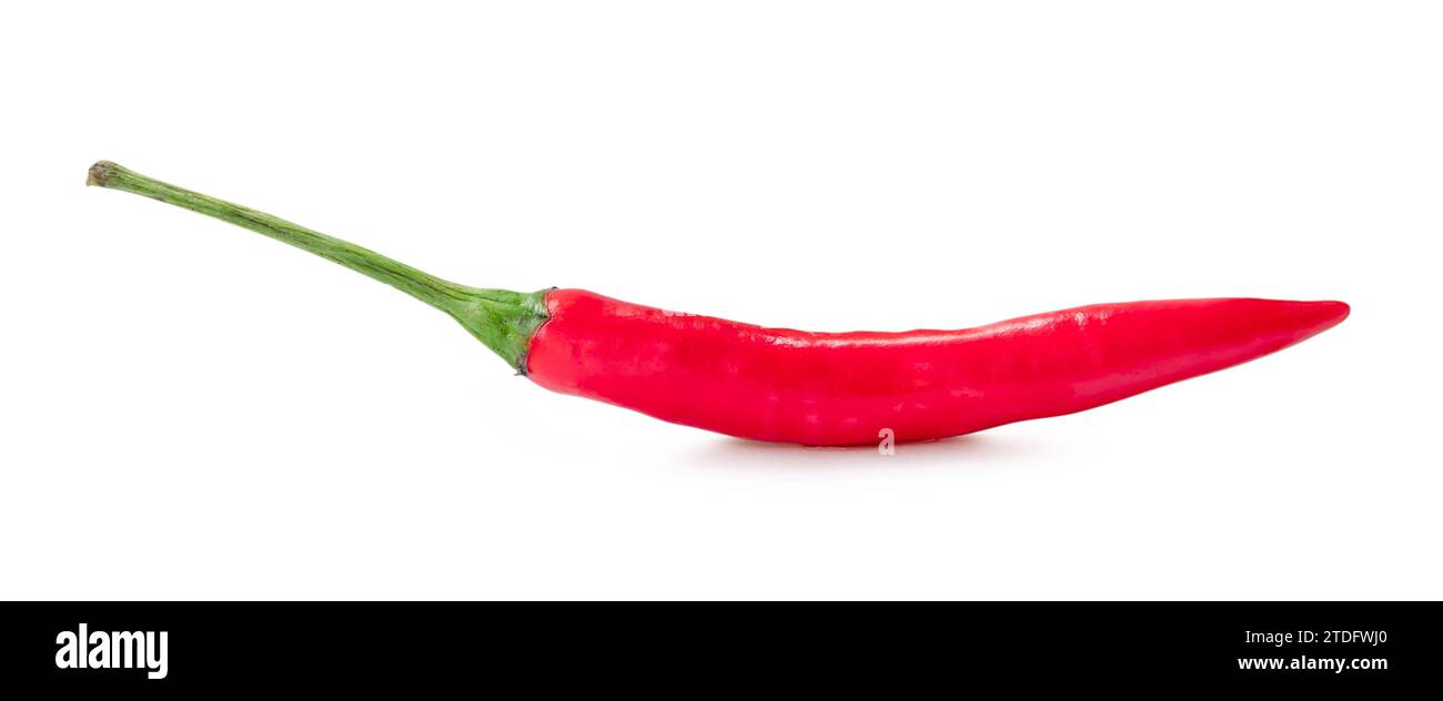 Front view of fresh red chili or pepper is isolated on white background ...