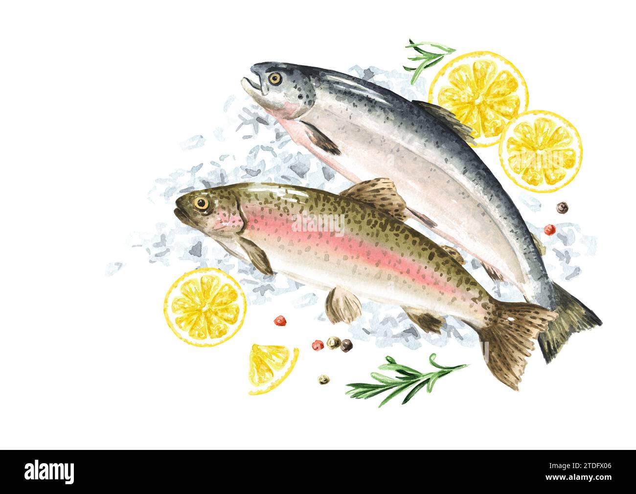 Fresh raw fish on the ice, Seafood concept Hand drawn watercolor ...