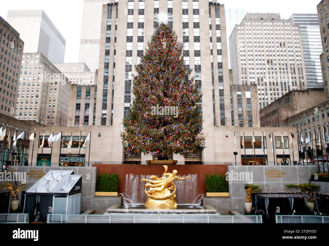 The Rockefeller Center Christmas Tree stands in Rockefeller Center in ...
